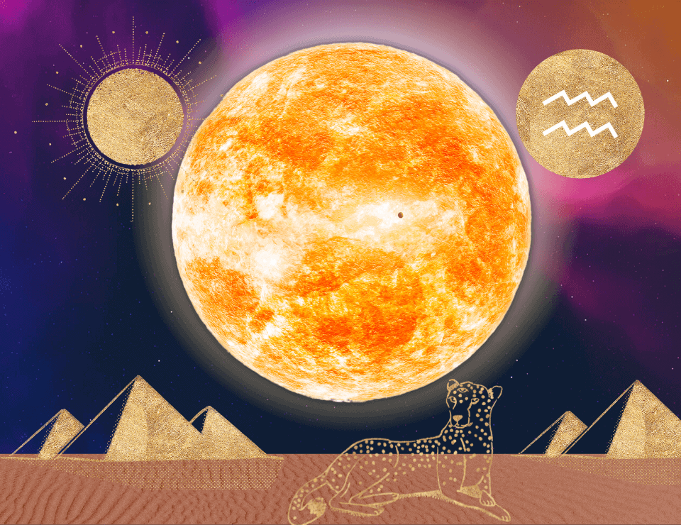 What The Sun In Aquarius the 11th House Reveals About Your Chart What The Sun In Aquarius the 11th House Reveals About Your Chart